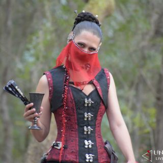 Underworld: Dark Harbor – Dark Fantasy LARP located in Florida, USA